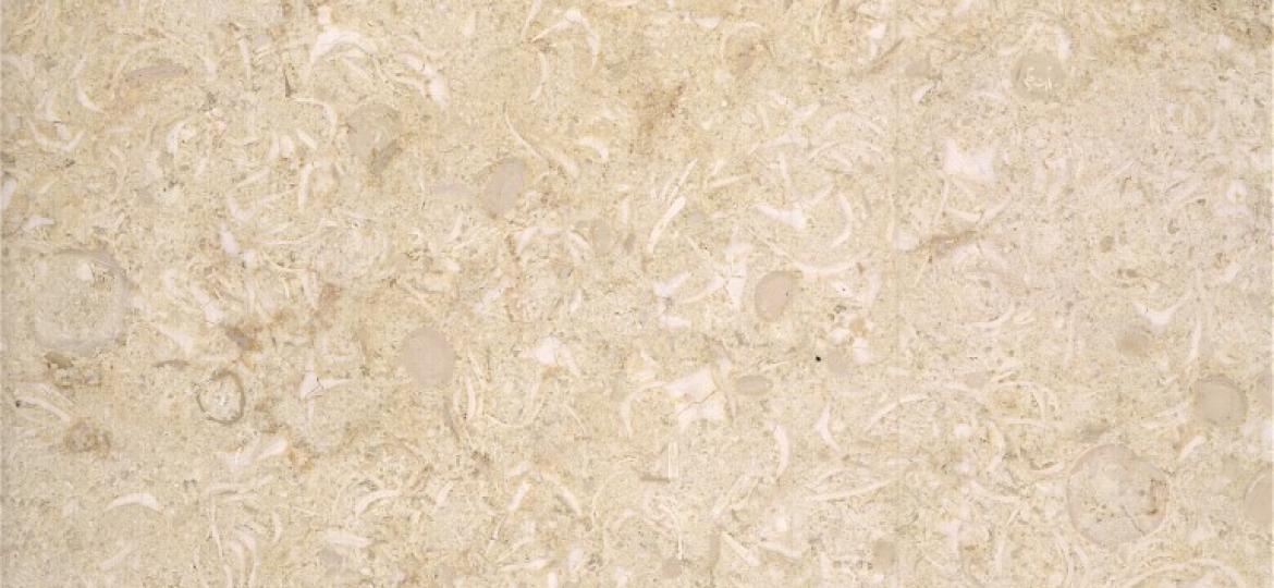 Egyptian Sunny Menia Marble Tiles and Slabs